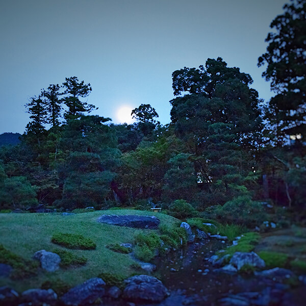 Murin-an: A Japanese Garden Masterpiece in Kyoto's Higashiyama